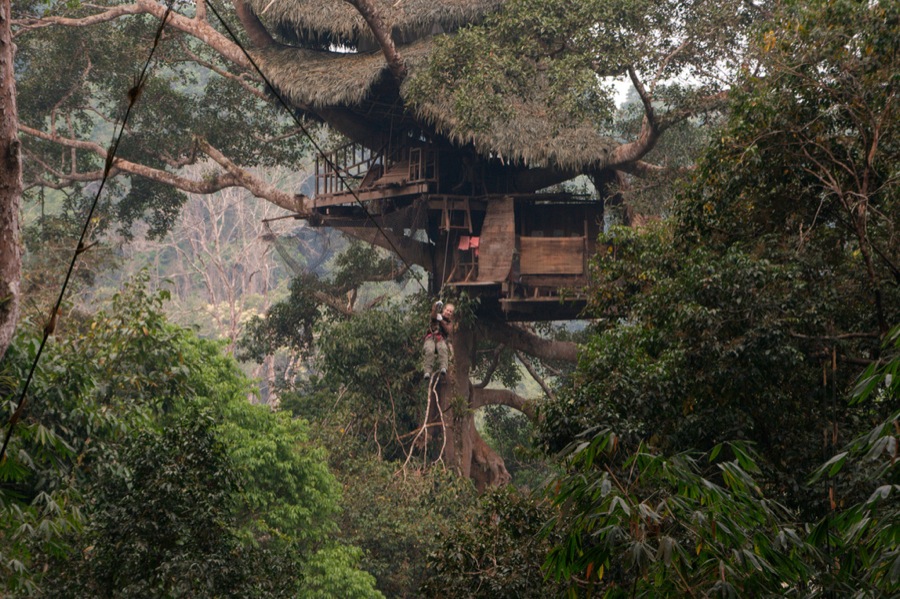 Gibbon-Experience-treehouse-Bokeo-Nature-Reserve-Laos-Matador ...