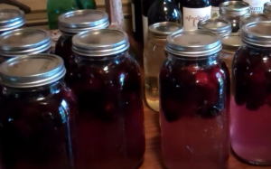 How To Make Easy Homemade Wine ~ Making Blackberry Wine – SurvivalKit.com