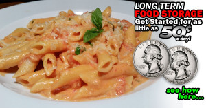 Primitive Torsion Spring Foot Snare Trap – SurvivalKit.com