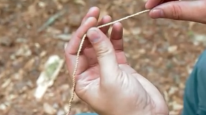 Make Cordage from Natural Materials – SurvivalKit.com