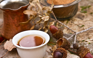 The One Secret You MUST know when Harvesting Wild Acorns – SurvivalKit.com