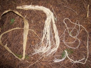 How to Make Cordage out of Sinew – SurvivalKit.com