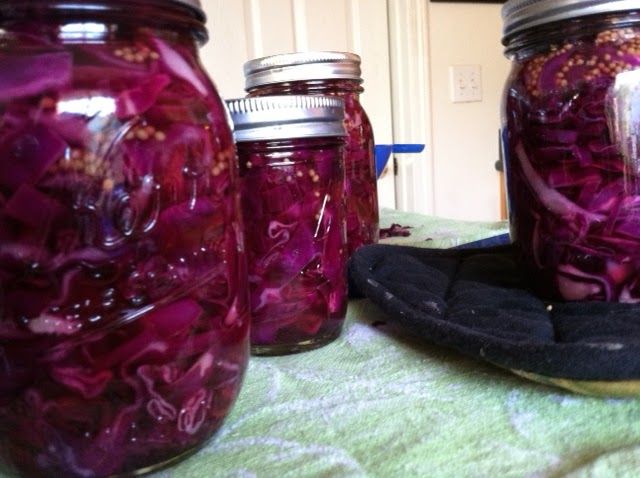 How to Can Zesty Red Cabbage for Long-Term Storage – SurvivalKit.com