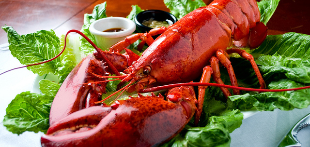 How to Safely Process, Store and Prepare Freshly Caught Shellfish ...