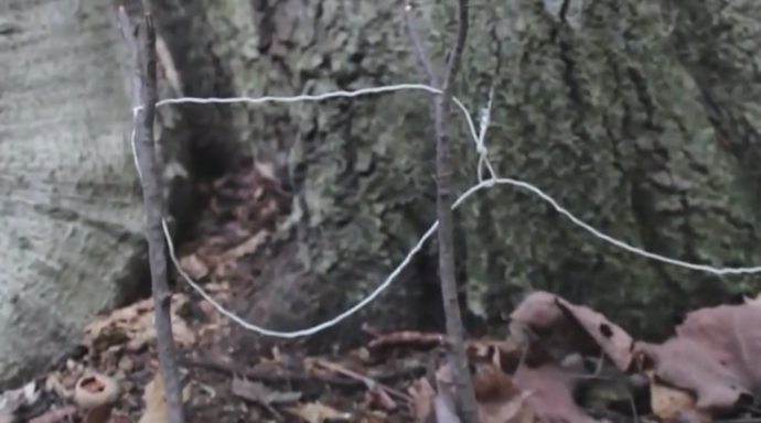 how-to-make-a-basic-snare-trap-with-paracord-or-wire-survivalkit