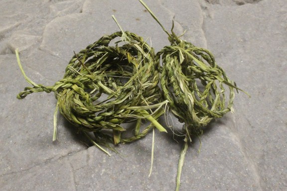 How to Fashion Rope from the Yucca Plant – SurvivalKit.com
