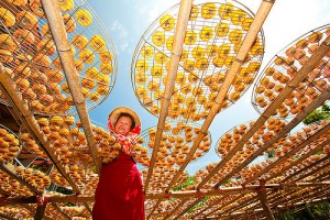 Master the Art of Sun-Drying Fruits – SurvivalKit.com