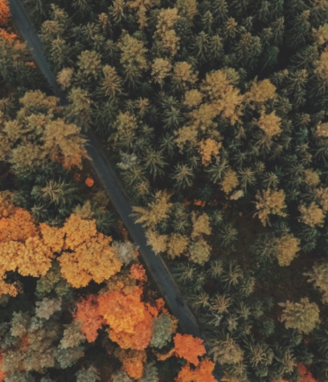 SurvivalKit.com | Prepare Today, Survive Tomorrow